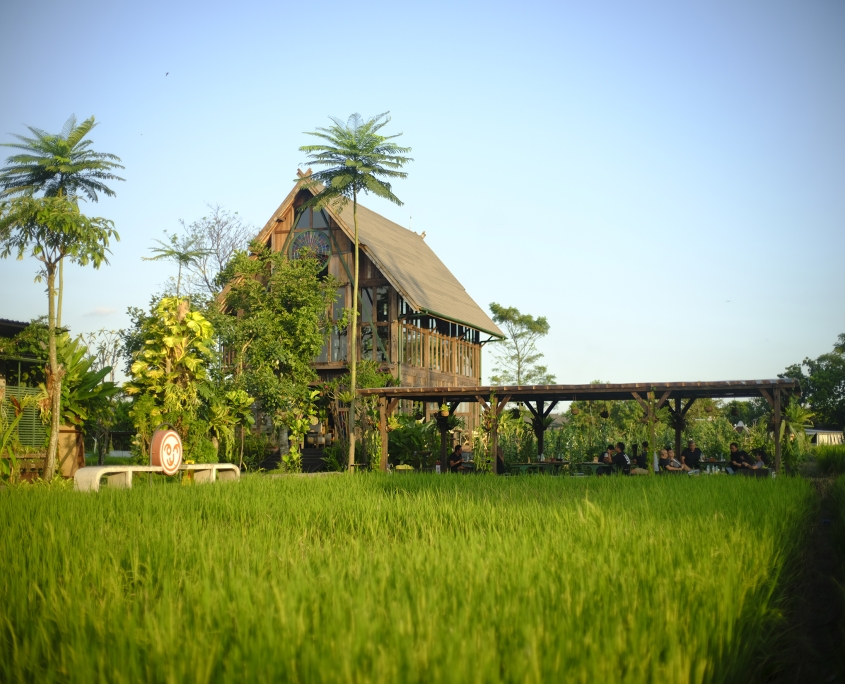 Ayom Jogja | Restoran Rumah Makan Rombongan Dan Keluarga Terbaik